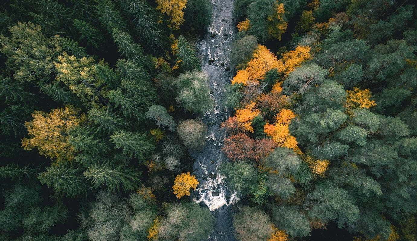 Responsible investing outlook: key themes for 2026 | Nuveen