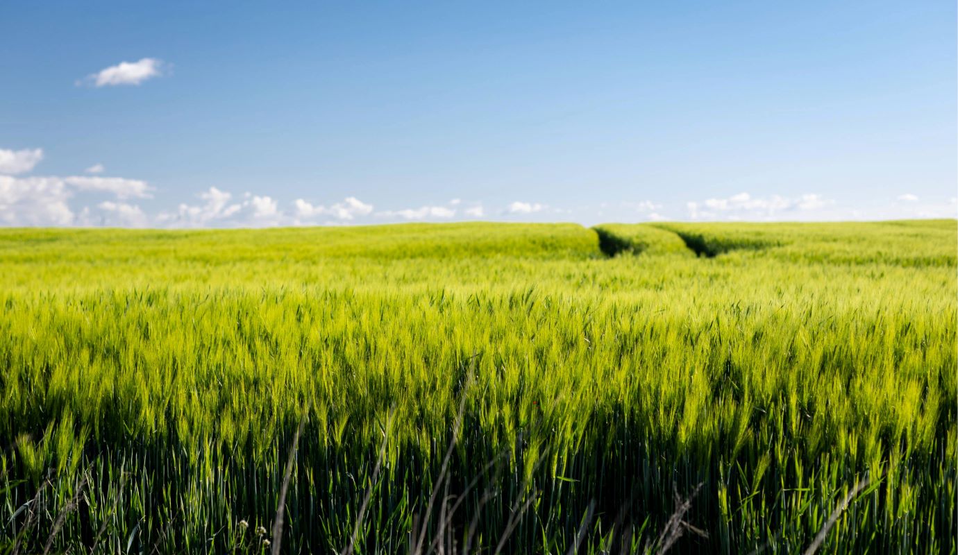 Nuveen Natural Capital 2025 Sustainability Report | Nuveen