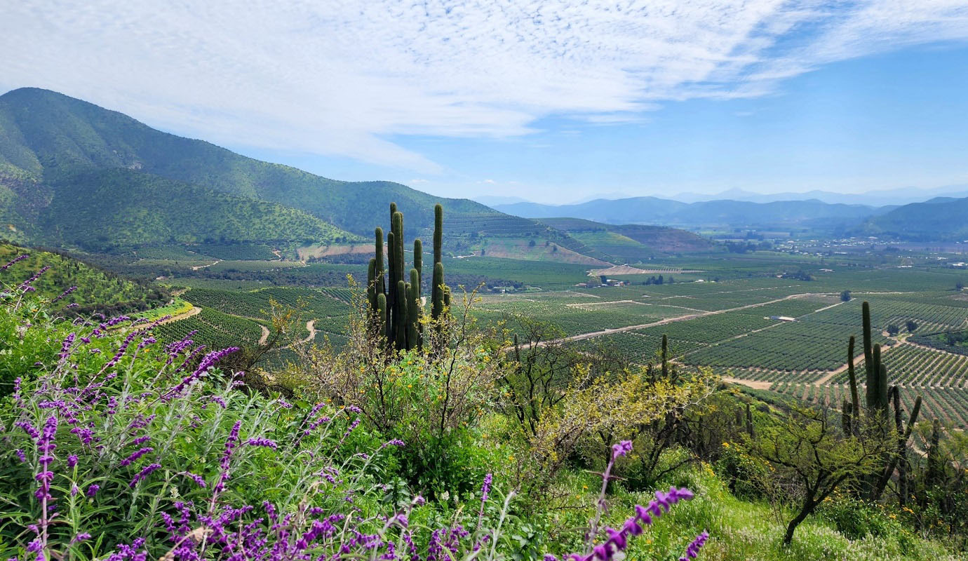 2024 Sustainability Report | Nuveen Natural Capital | Responsible Stewardship | Nuveen