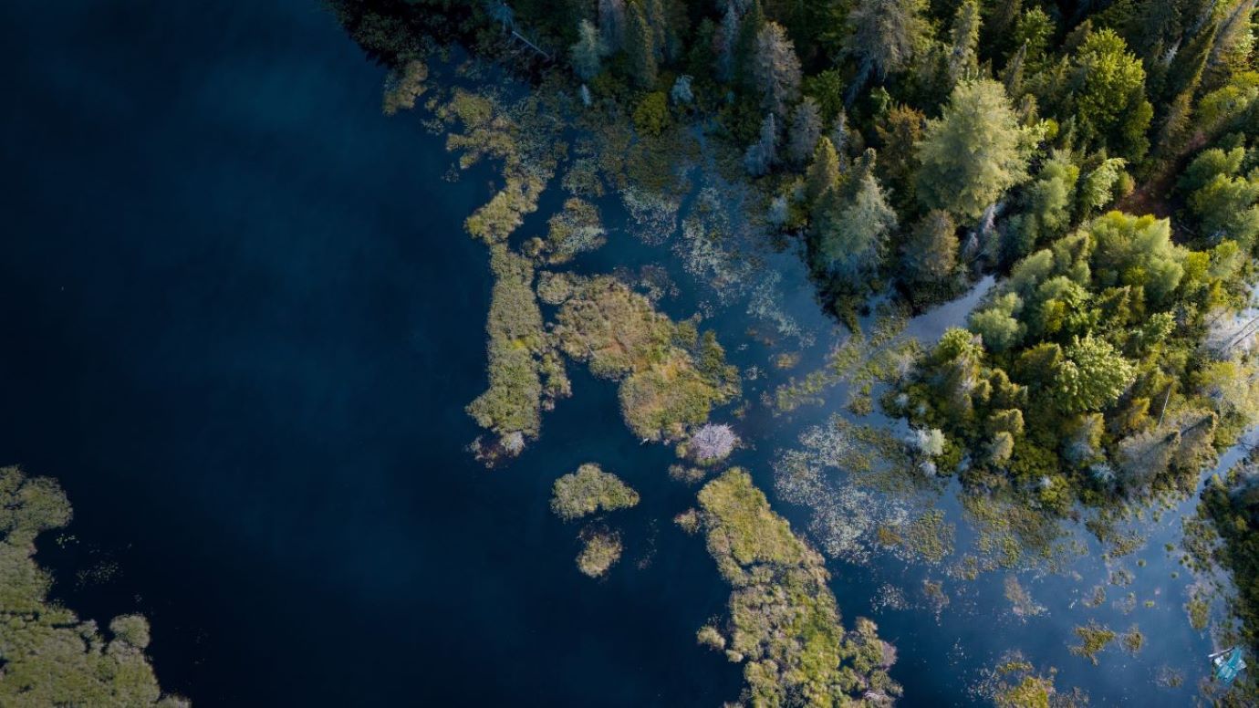 Webinar Replay | Investing in nature | Nuveen Natural capital | Nuveen ...